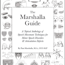 Visualizing and Verbalizing goals/objectives | The School Speech Therapist